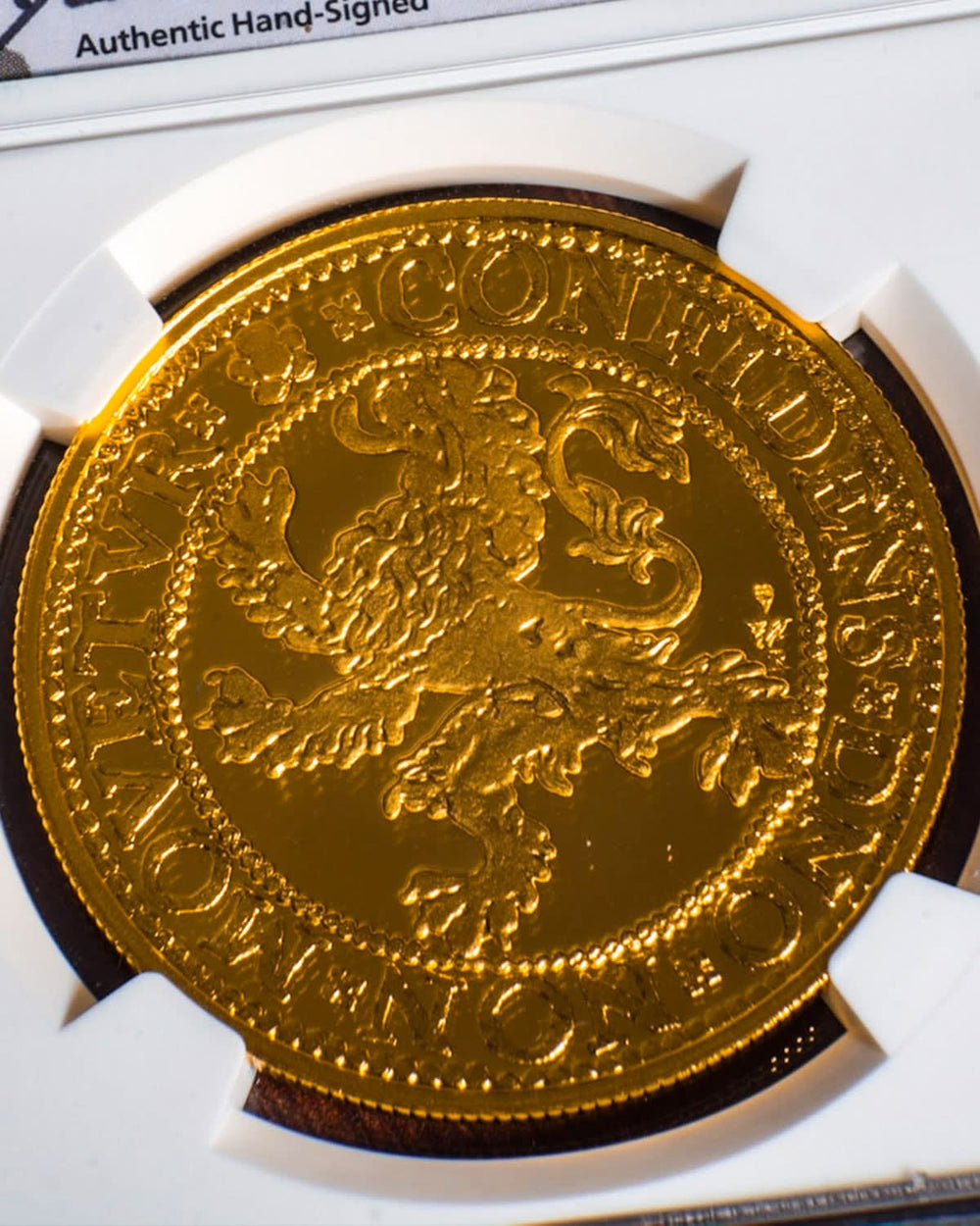 Gold World Coin | 1oz Gold Lion Dollar Royal Dutch Mint | First ...